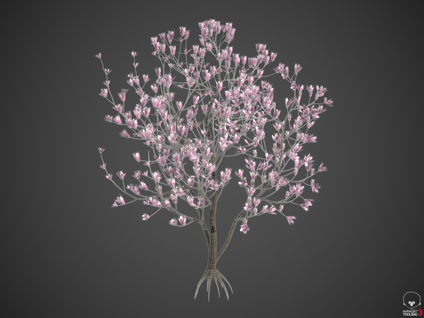 Magnolia Tree Nature Model - TurboSquid 1676977