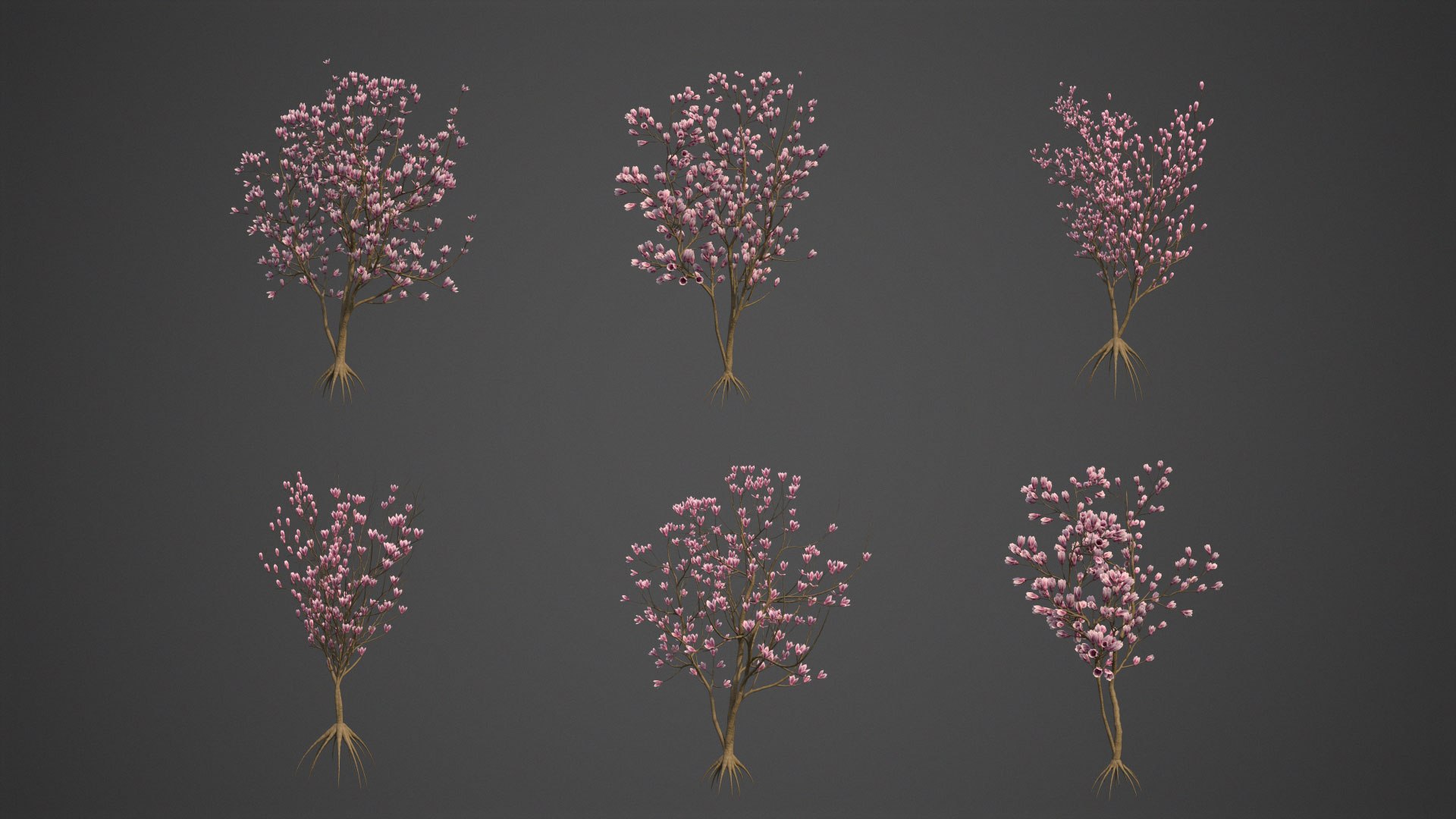 Magnolia Tree Nature Model - TurboSquid 1676977