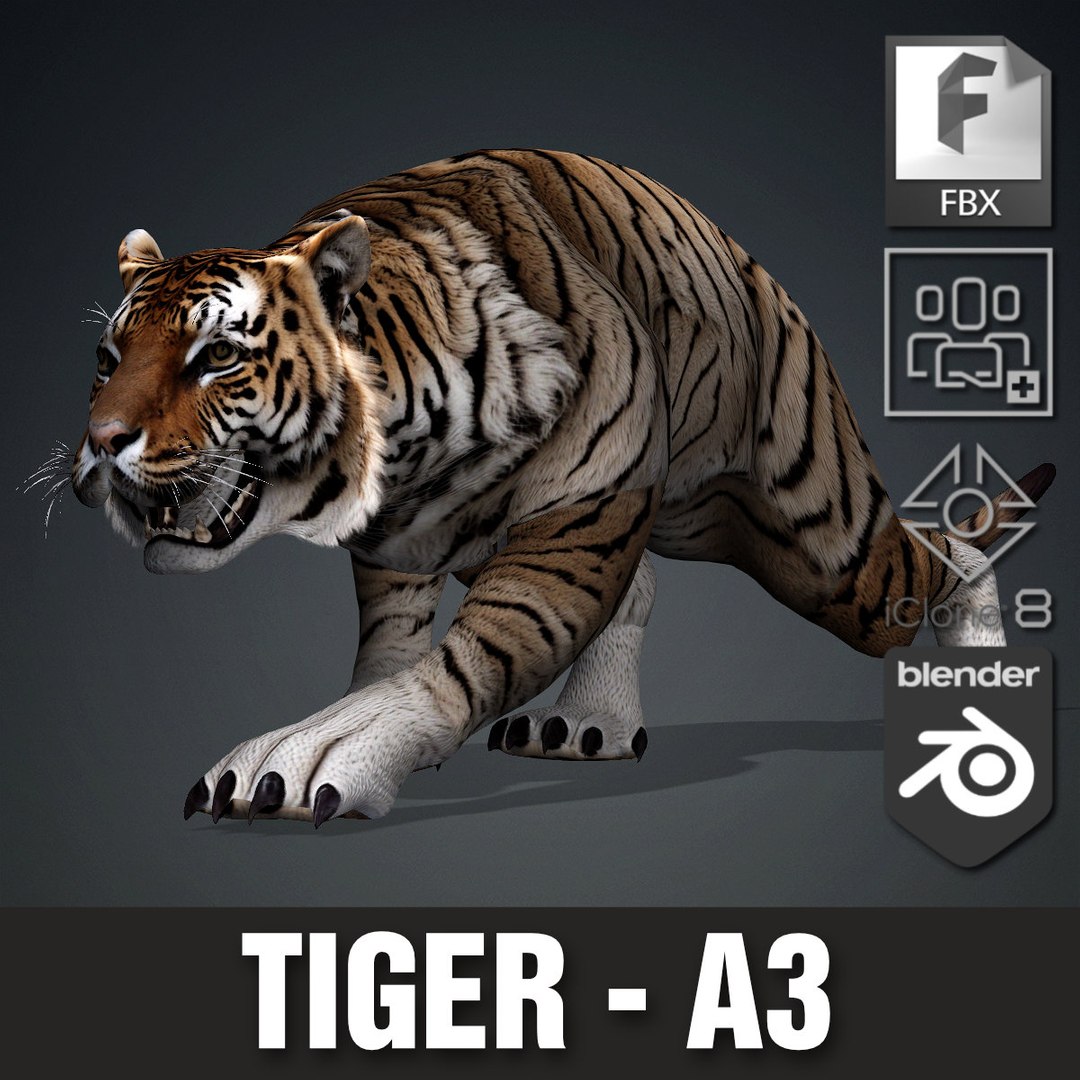 3D Model Tiger-A3 - TurboSquid 2434002