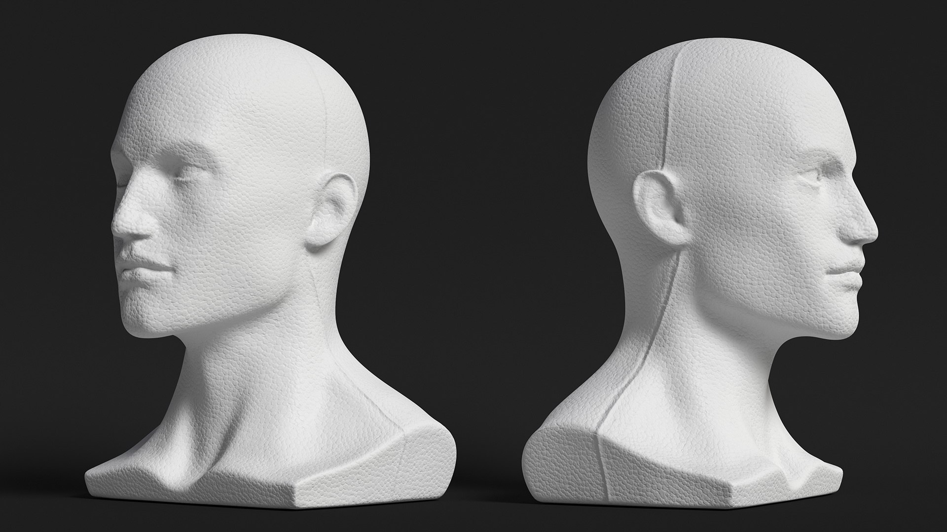 3D Styrofoam Male Mannequin Head White - TurboSquid 2211529