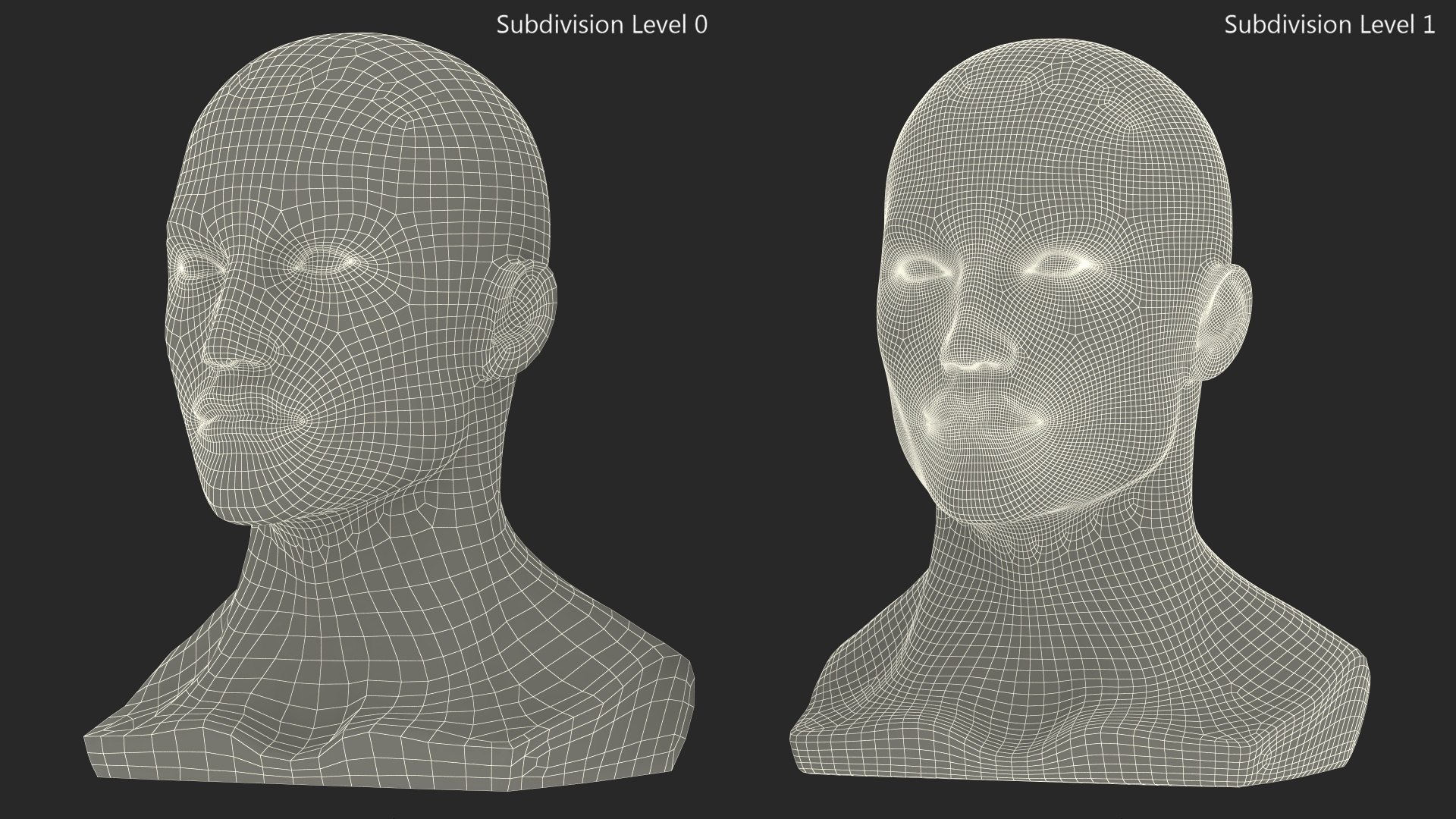 3D Styrofoam Male Mannequin Head White - TurboSquid 2211529