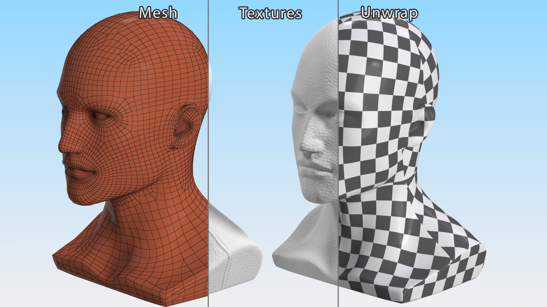 3D Styrofoam Male Mannequin Head White - TurboSquid 2211529