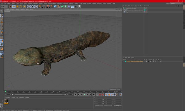 modelo 3d Luz de salamandra gigante china - TurboSquid 2232362