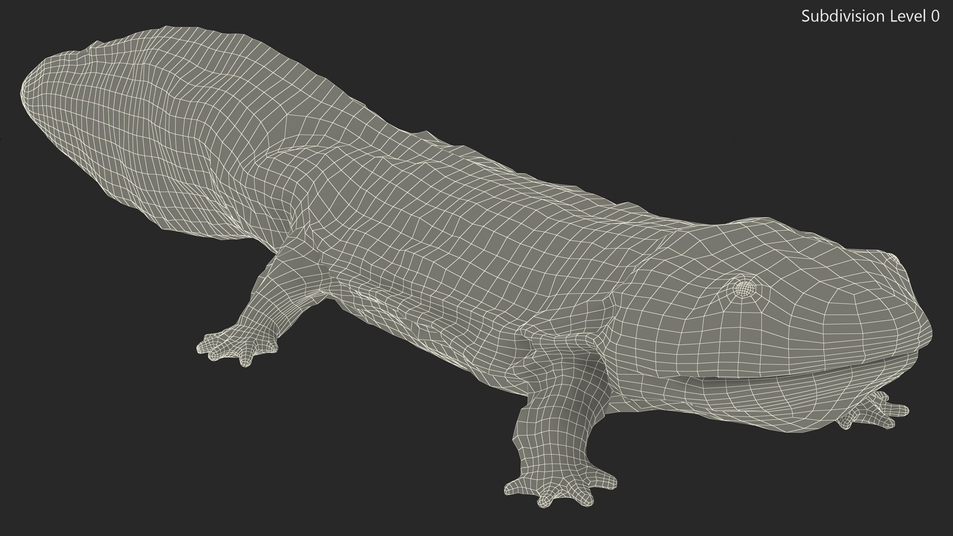 Chinese Giant Salamander Light 3D Model - TurboSquid 2232362