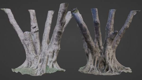 modelo 3d Árbol - TurboSquid 2329351