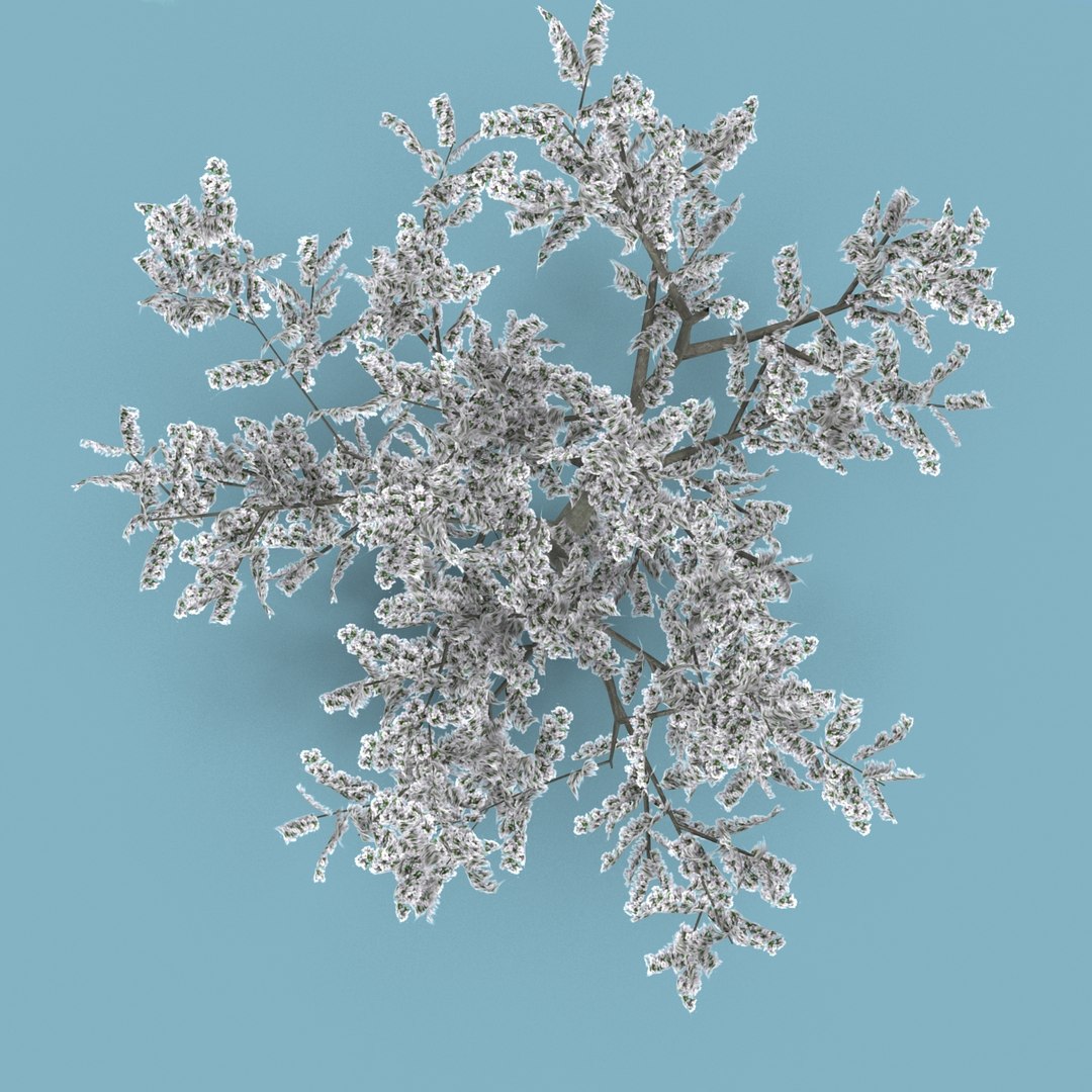 3D Flowering Apple Tree - TurboSquid 1238371