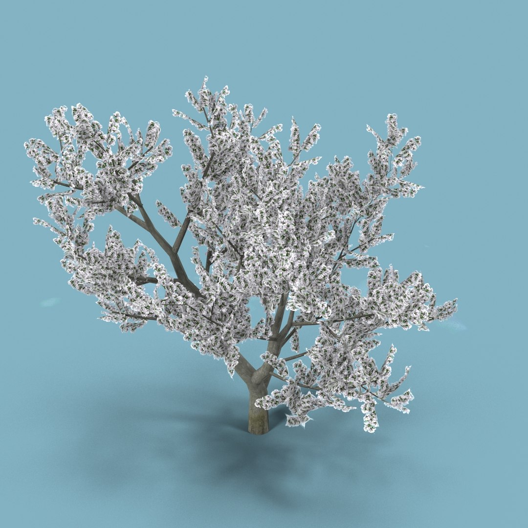 3D Flowering Apple Tree - TurboSquid 1238371