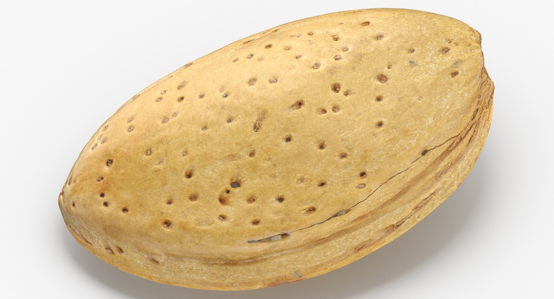 Almonds With Shell Collection 02 - 3 models 3D model - TurboSquid 1885509