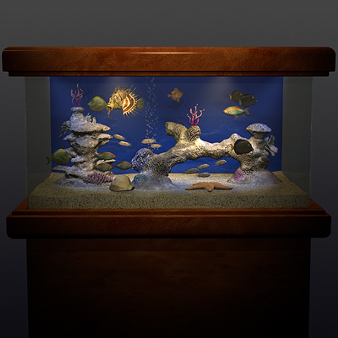 aquarium fish starfish 3ds