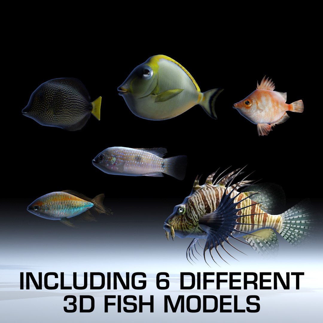 aquarium fish starfish 3ds