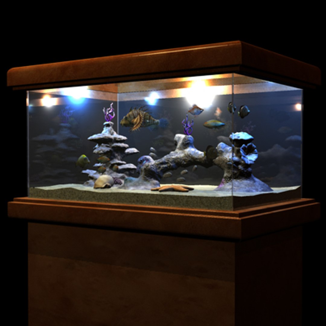 aquarium fish starfish 3ds