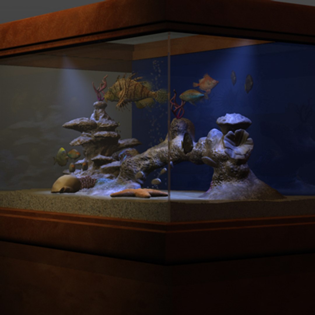 aquarium fish starfish 3ds