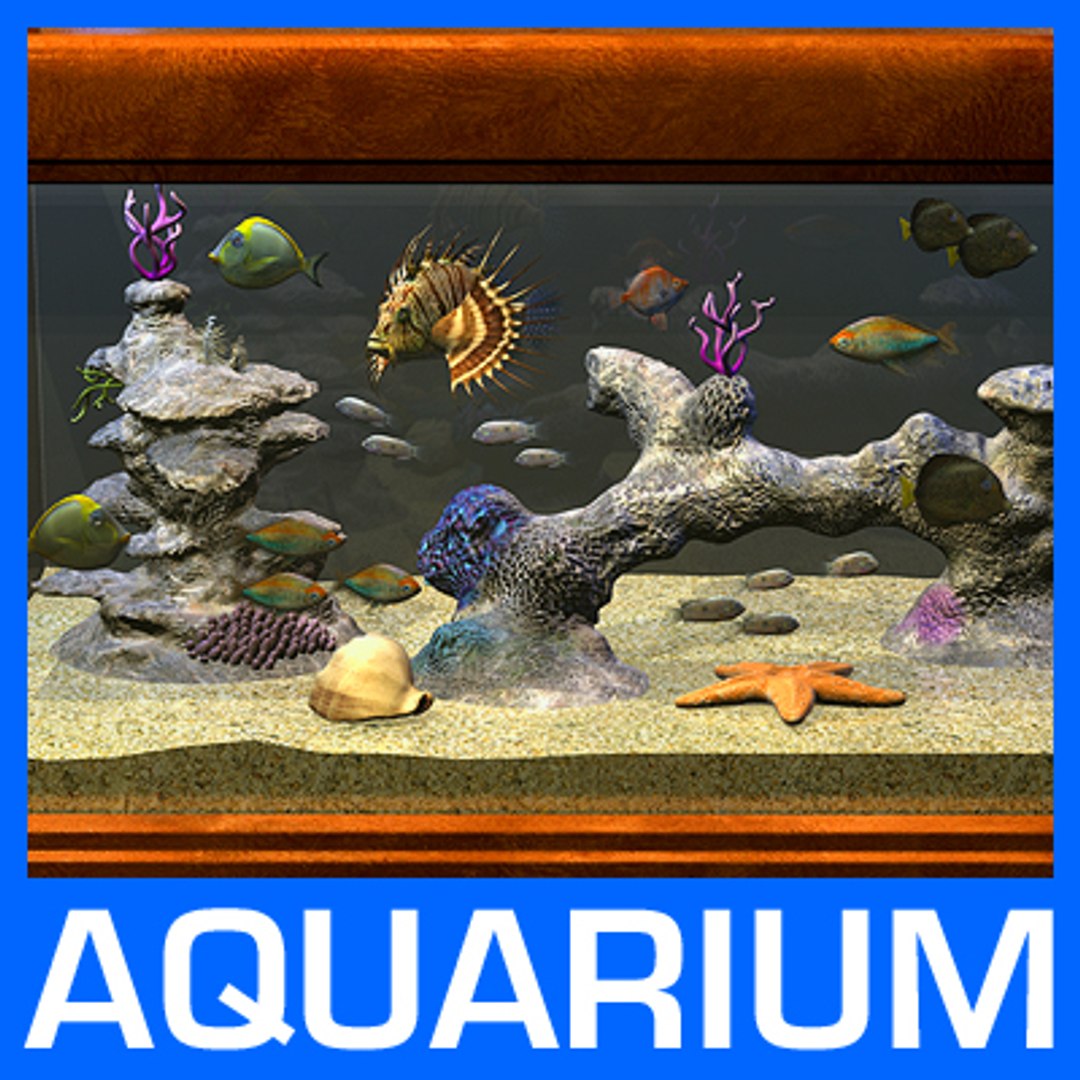 Aquarium Fish Starfish 3ds