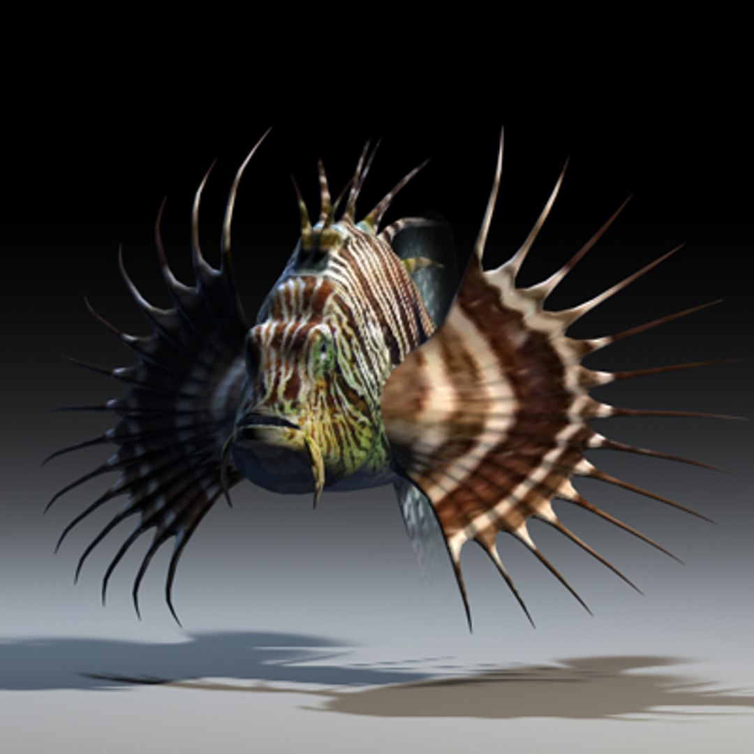 aquarium fish starfish 3ds