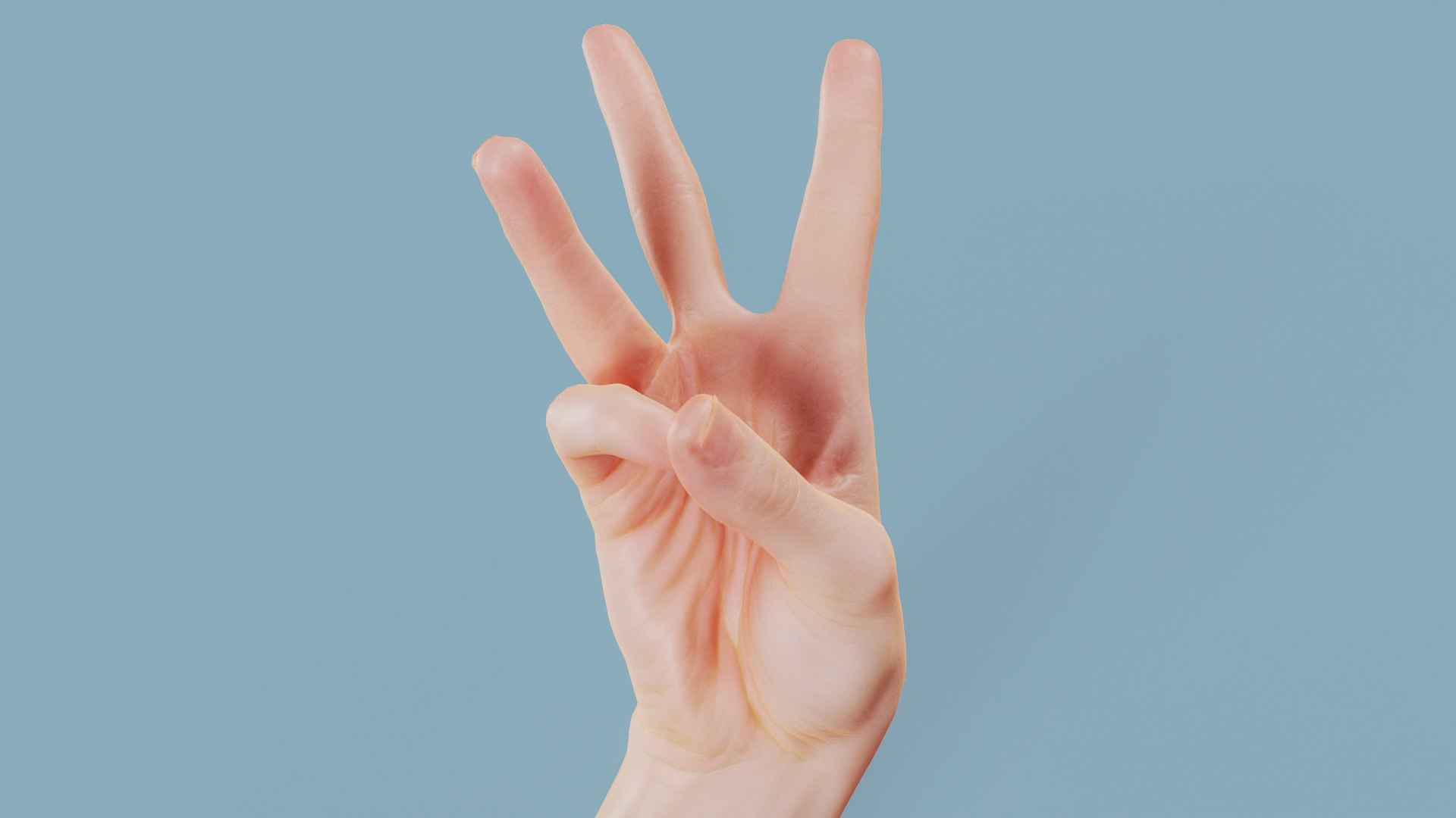 22 Female Single Hands Poses Model - TurboSquid 2200487