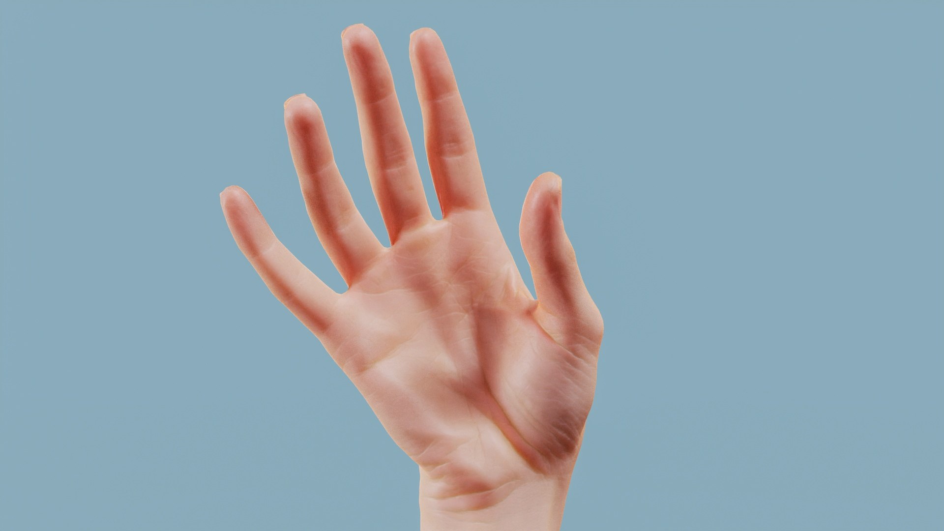 22 Female Single Hands Poses Model - TurboSquid 2200487