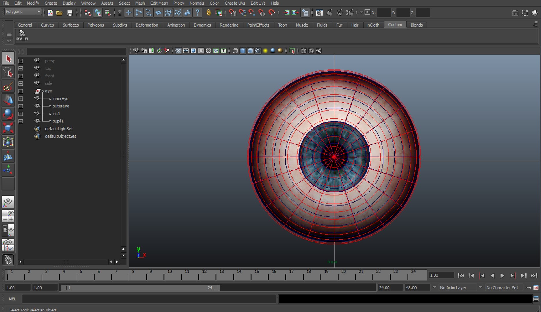 3d Model Of Human Eye