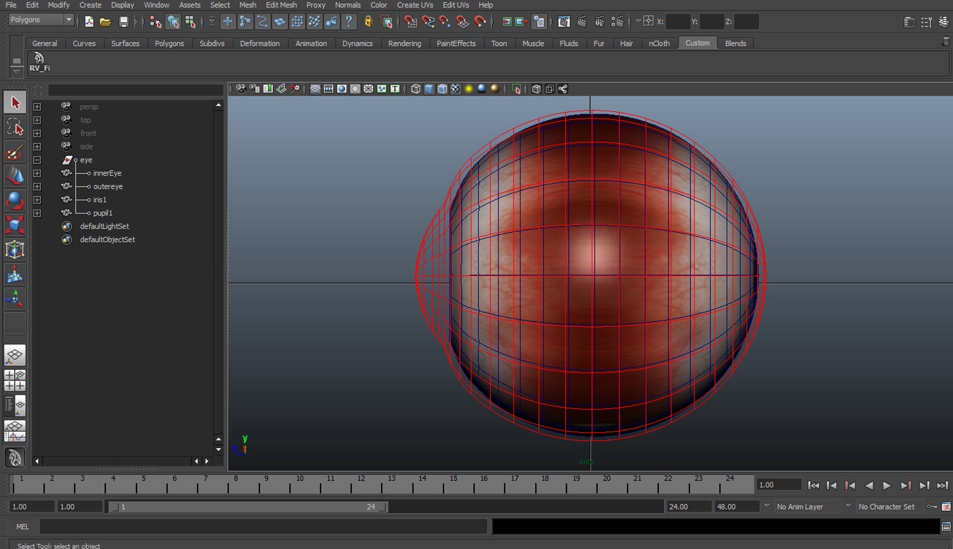 3d Model Of Human Eye