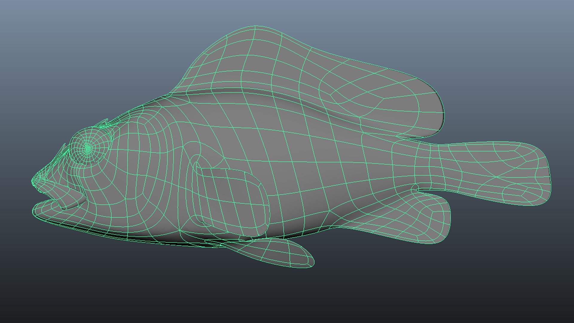 3D Model Gopher Rockfish - TurboSquid 1738361