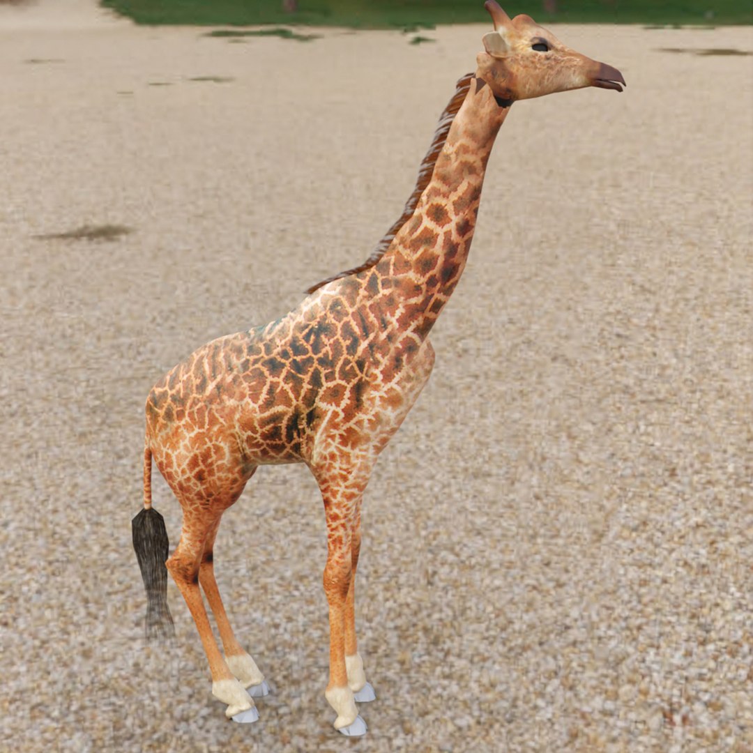 3D Model GIRAFFE - TurboSquid 2031623