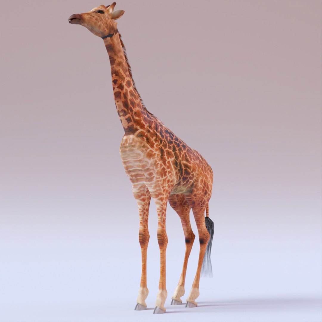 3D Model GIRAFFE - TurboSquid 2031623