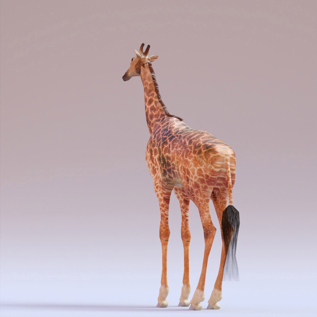 3D Model GIRAFFE - TurboSquid 2031623