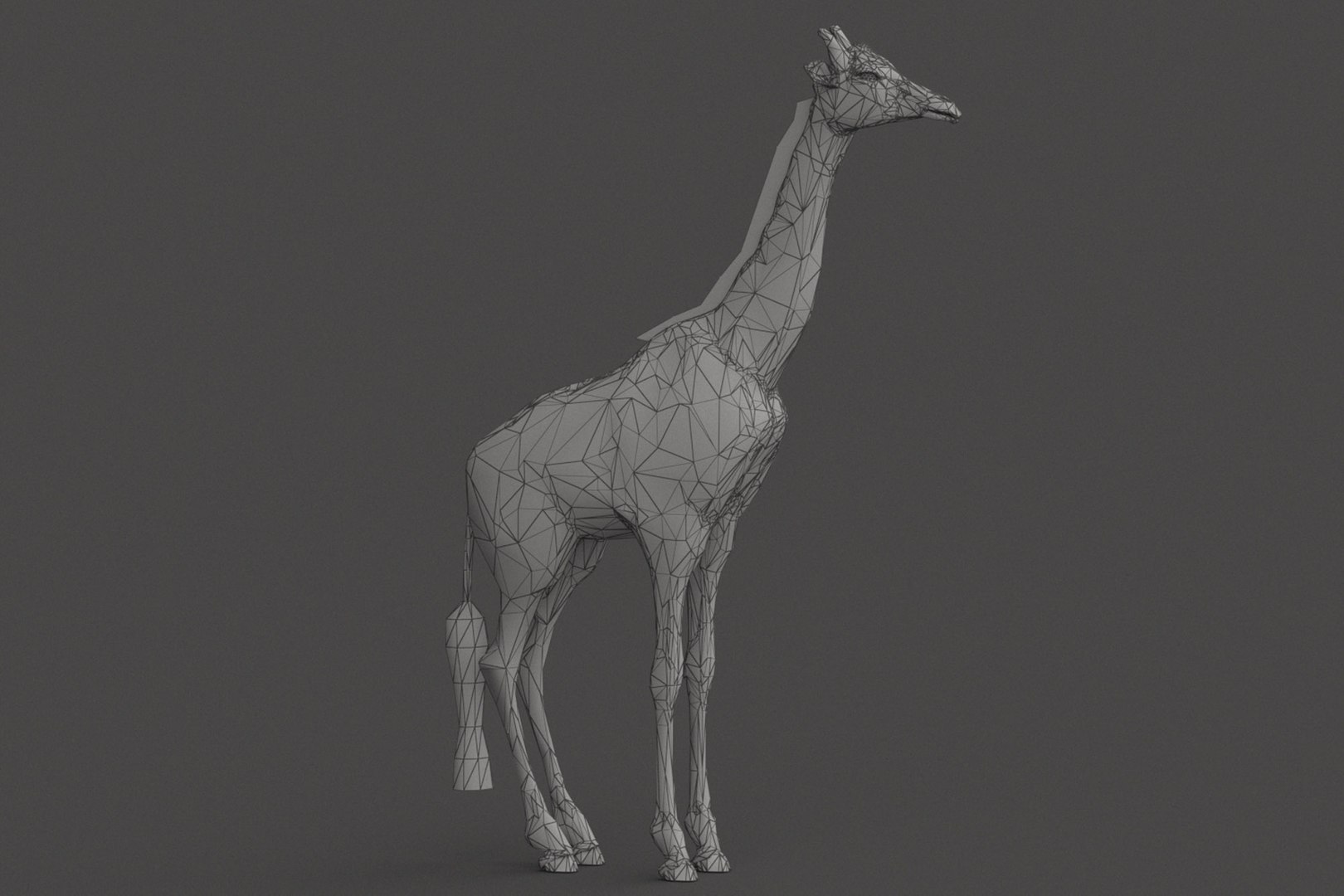 3D Model GIRAFFE - TurboSquid 2031623