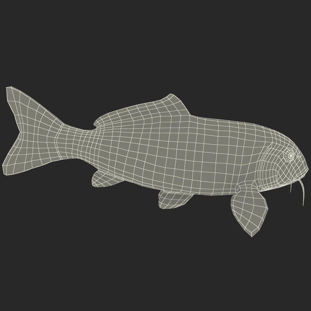 3d model koi fish