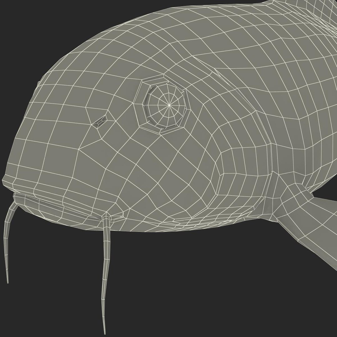 3d model koi fish