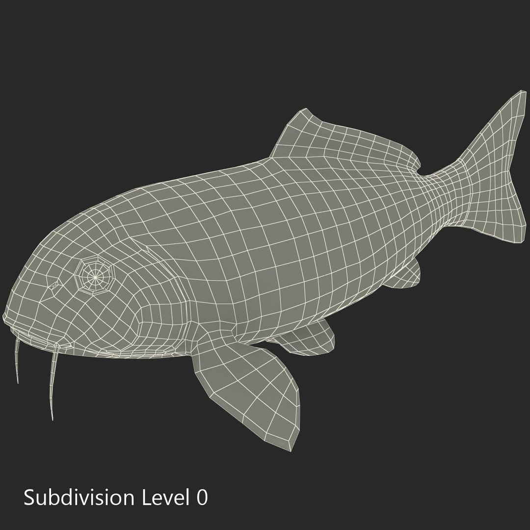 3d model koi fish