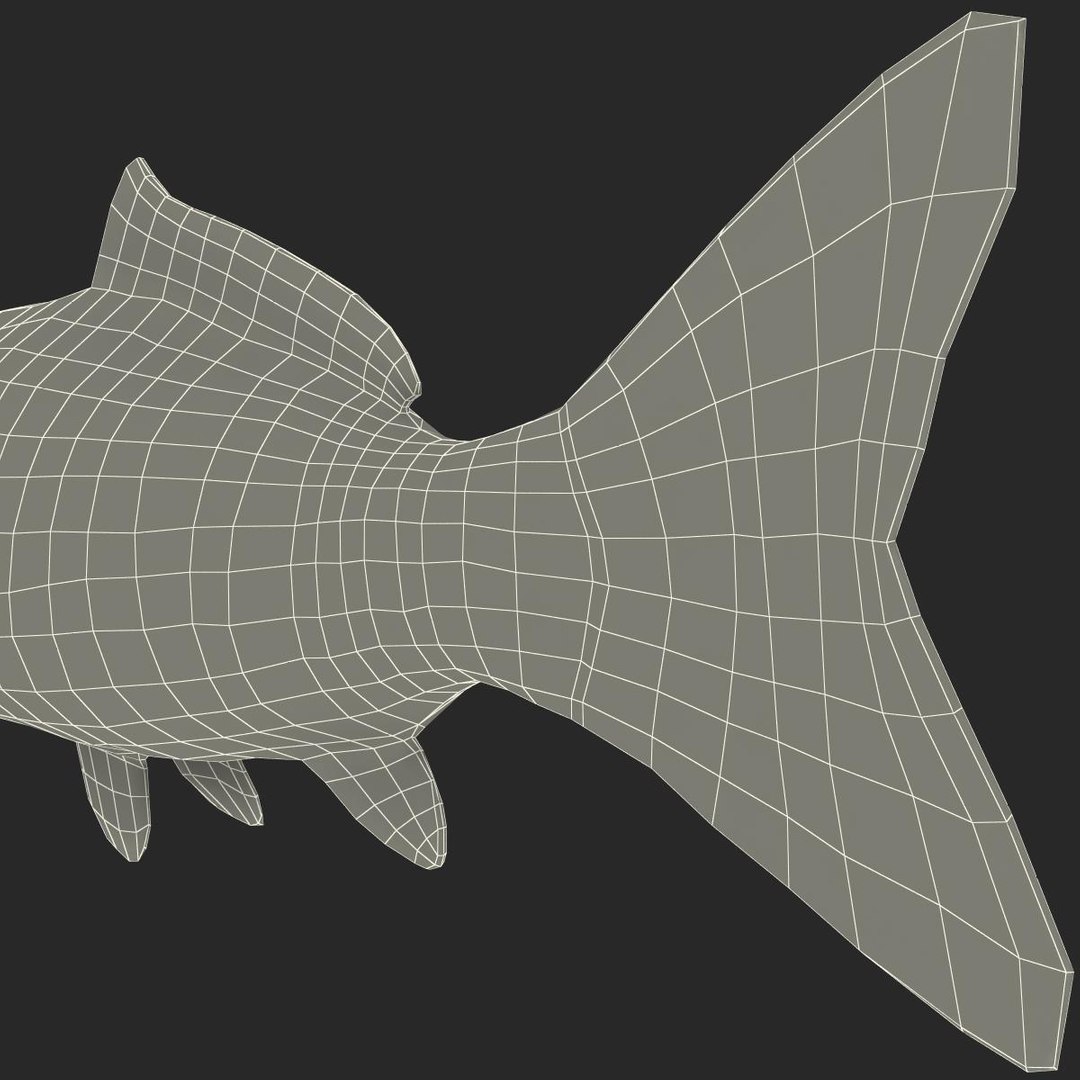 3d model koi fish