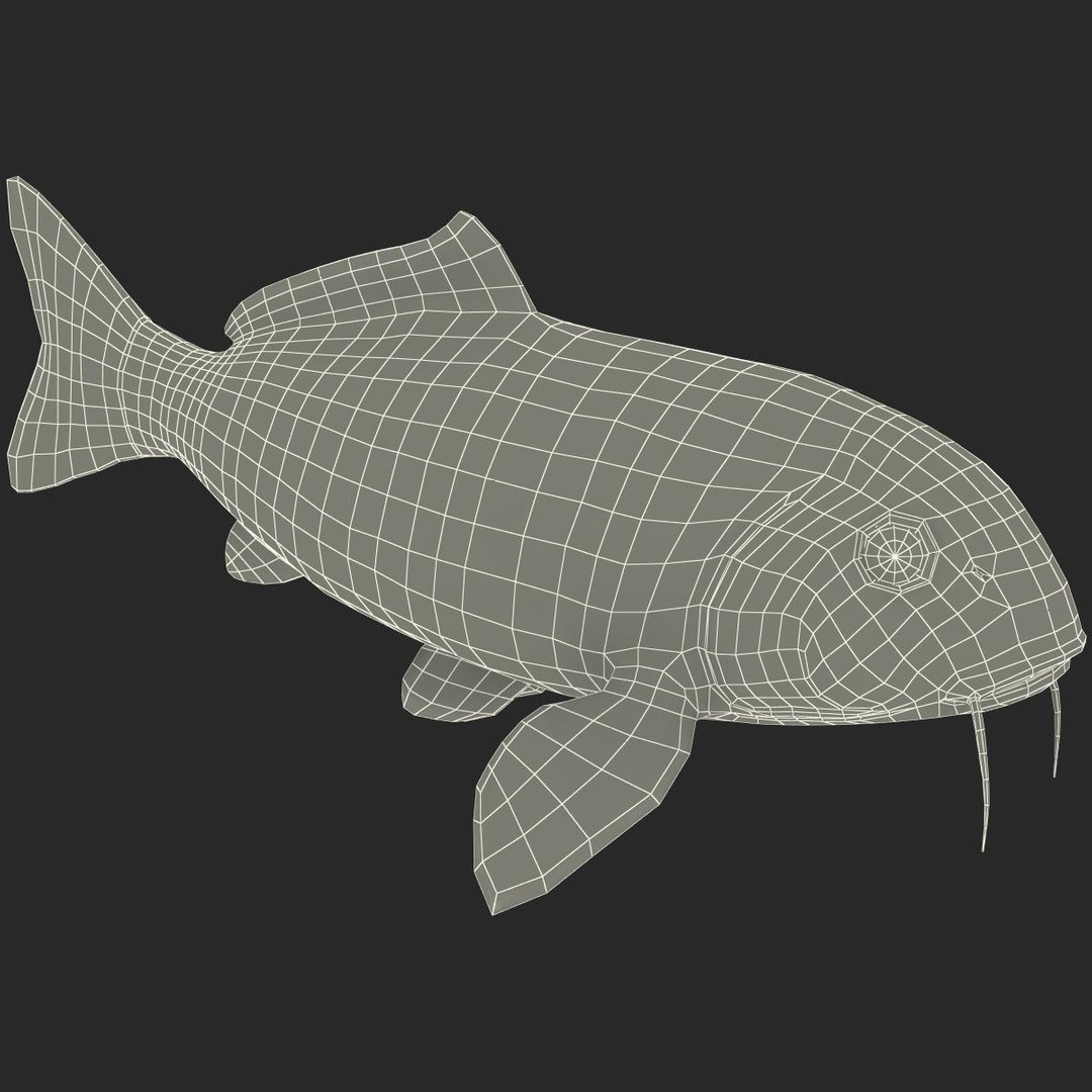 3d model koi fish