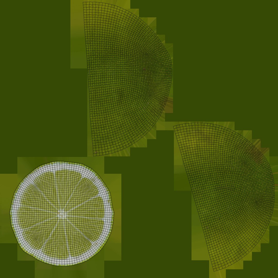 Realistic Lime Collection 3D Model - TurboSquid 1855825