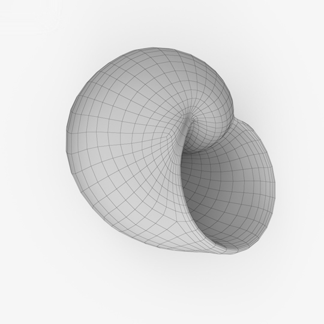 3D Snail Shell - TurboSquid 1547351