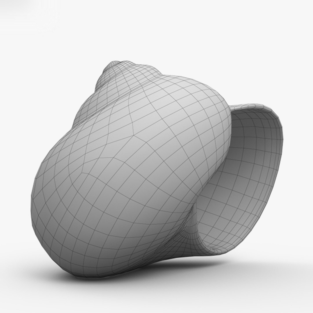 3D Snail Shell - TurboSquid 1547351