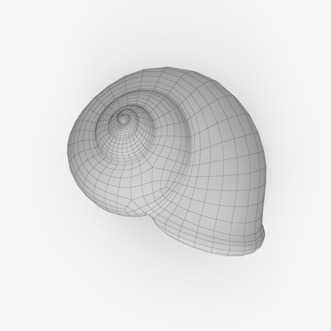 3D Snail Shell - TurboSquid 1547351