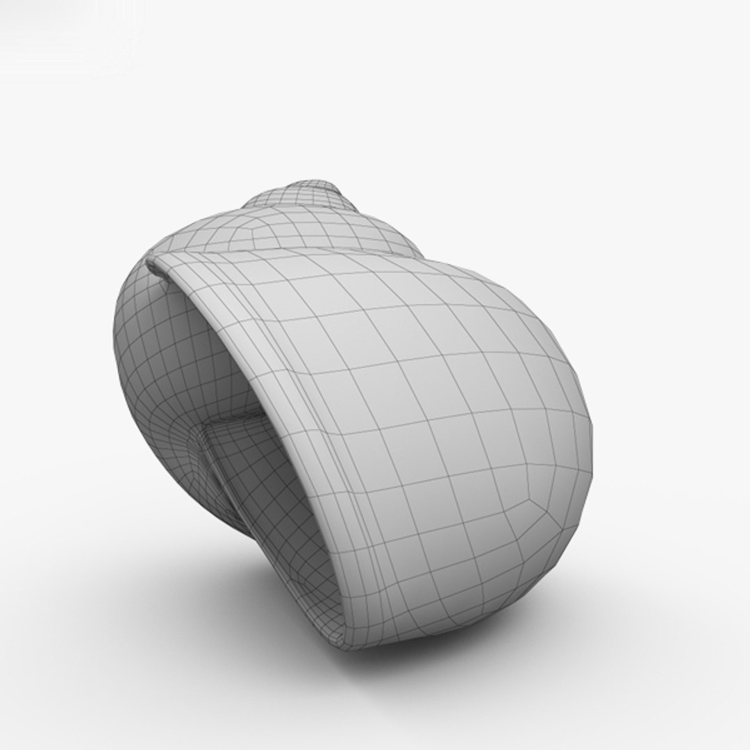 3D Snail Shell - TurboSquid 1547351