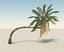 3d Bent Coconut Tree