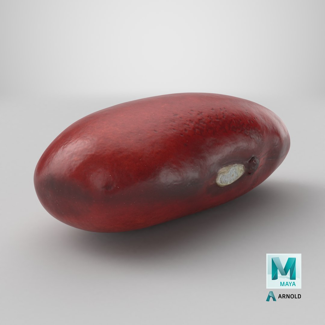 3D Model Red Kidney Bean 02 - TurboSquid 2493627
