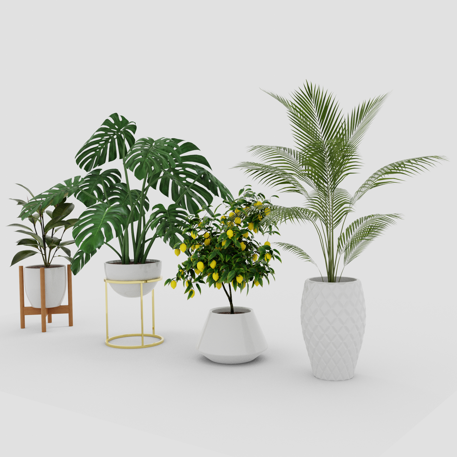 3D Potted Plants Collection model - TurboSquid 1729577