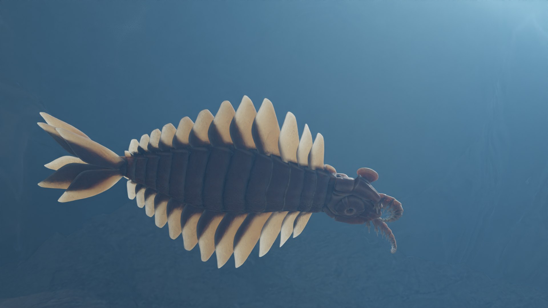 3D Anomalocaris Canadensis - TurboSquid 1982926