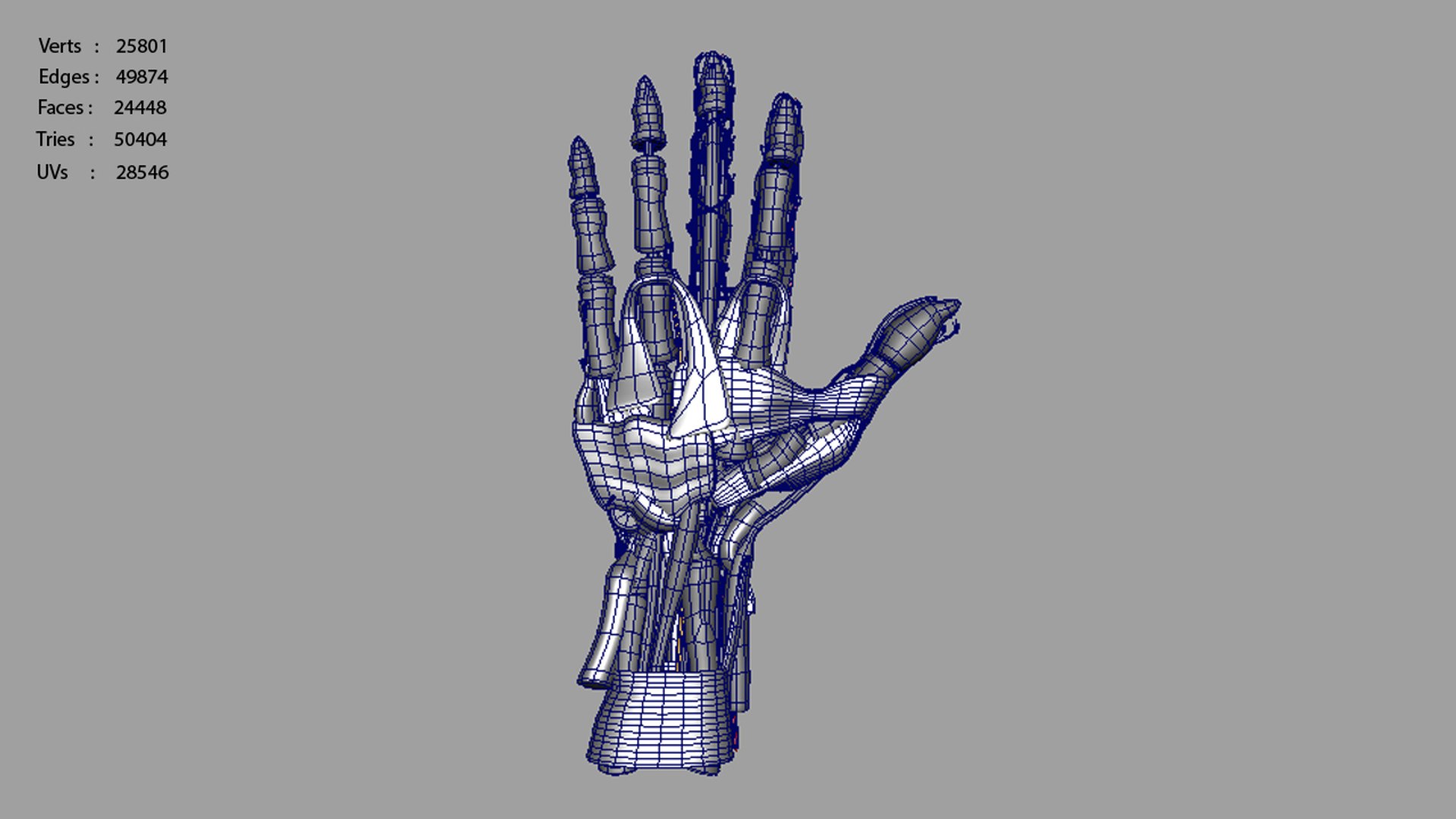 3d Hand Arm Model