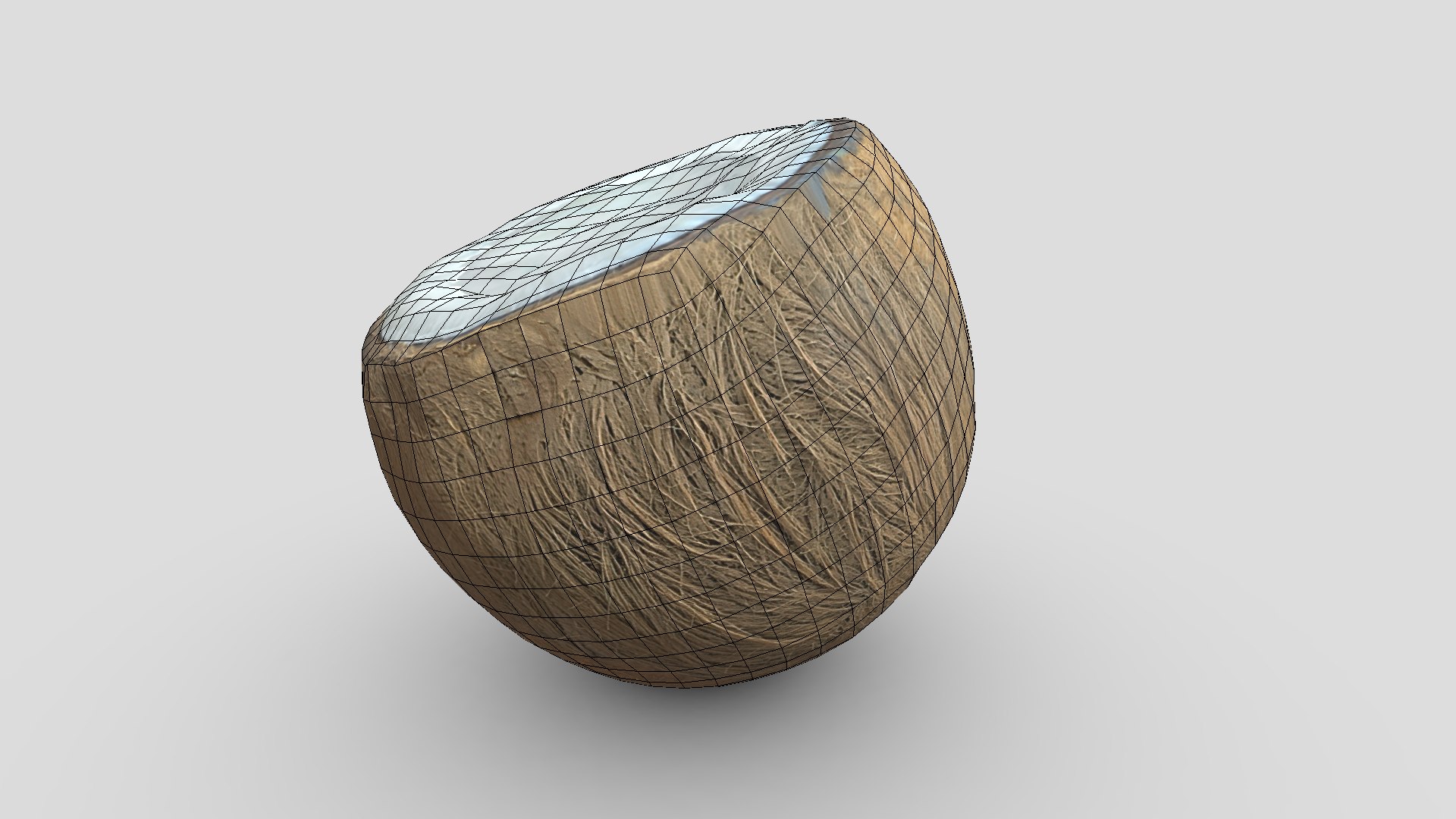 3D Model Coconut Piece Filled - TurboSquid 2265277