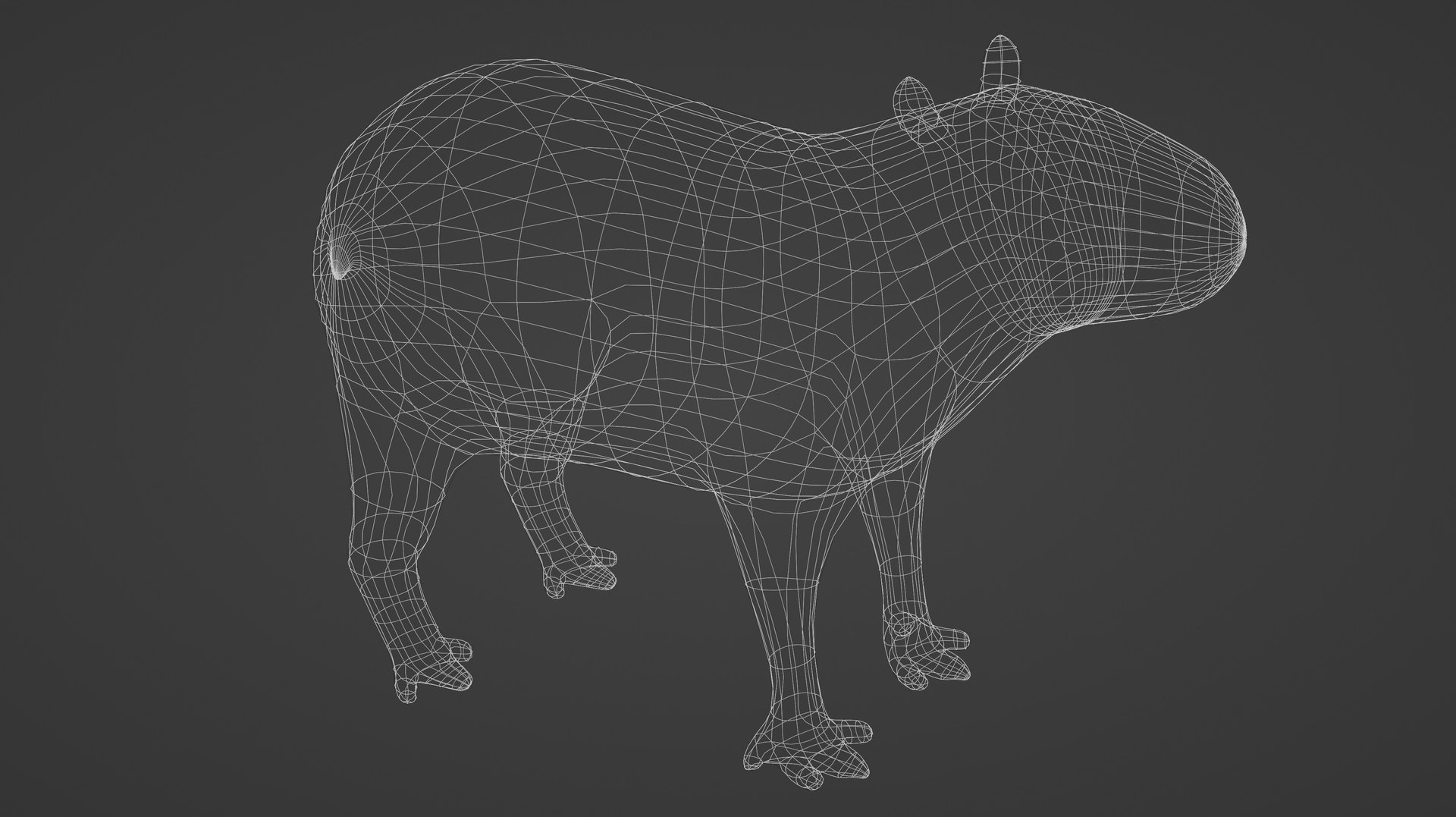 3D Capybara And Andeater OBJ BLEND - TurboSquid 2371197