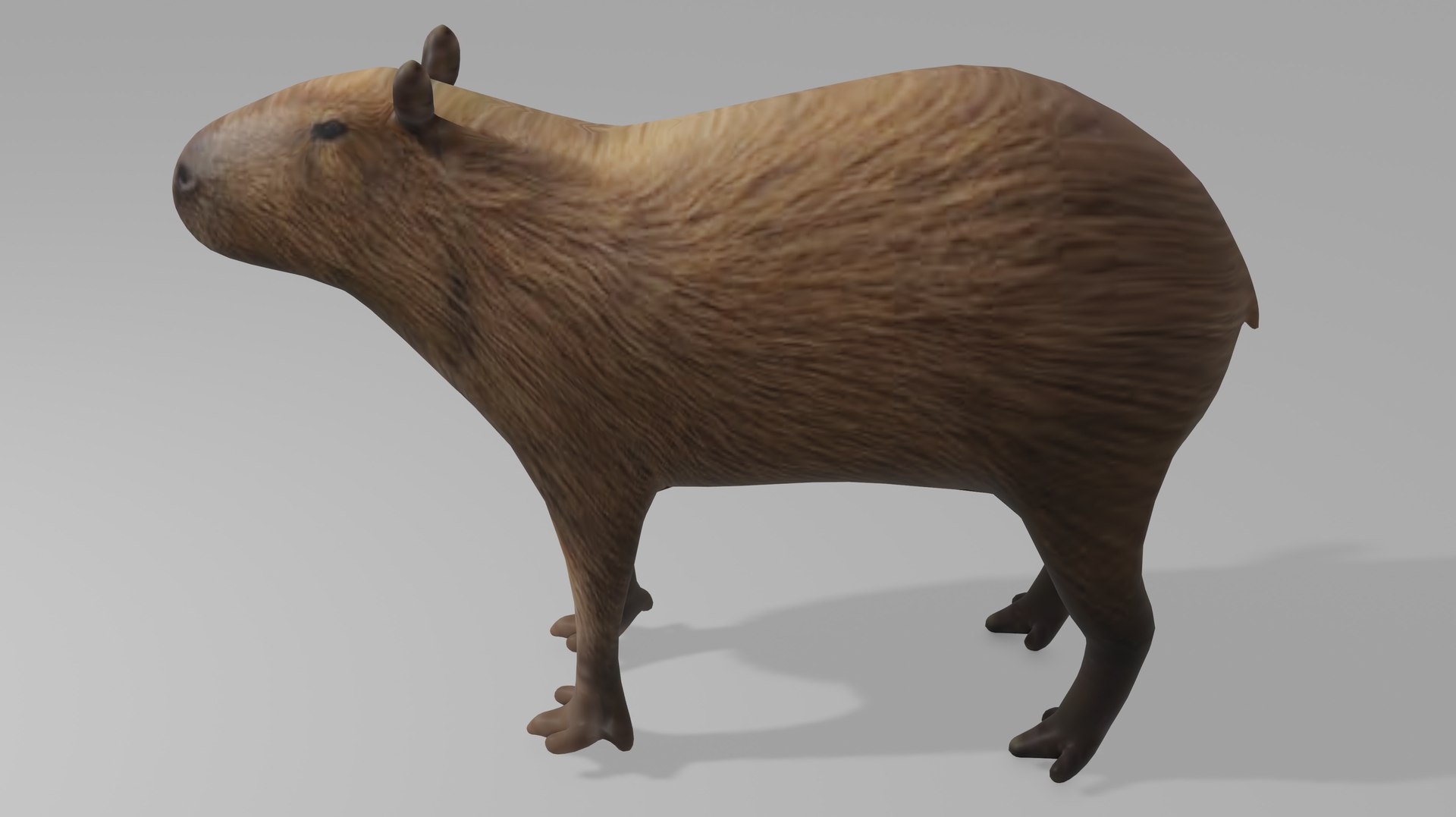3D Capybara And Andeater OBJ BLEND - TurboSquid 2371197