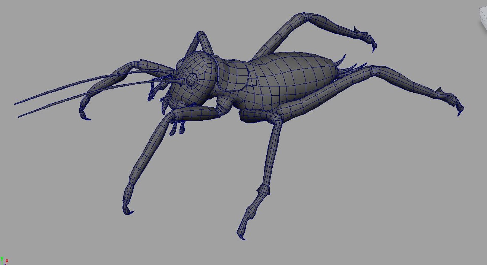 Bug Weta New 3d Ma