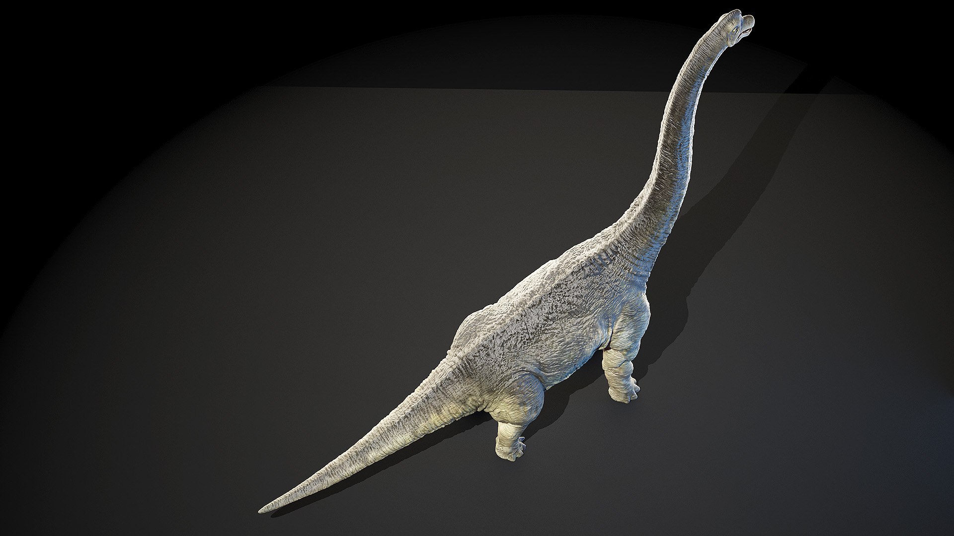 3D brachiosaurus model - TurboSquid 1635434