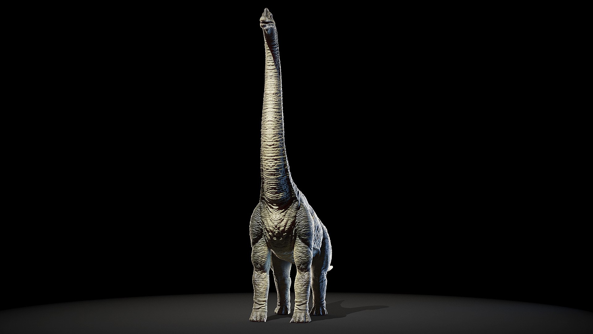 3D Brachiosaurus Model - TurboSquid 1635434