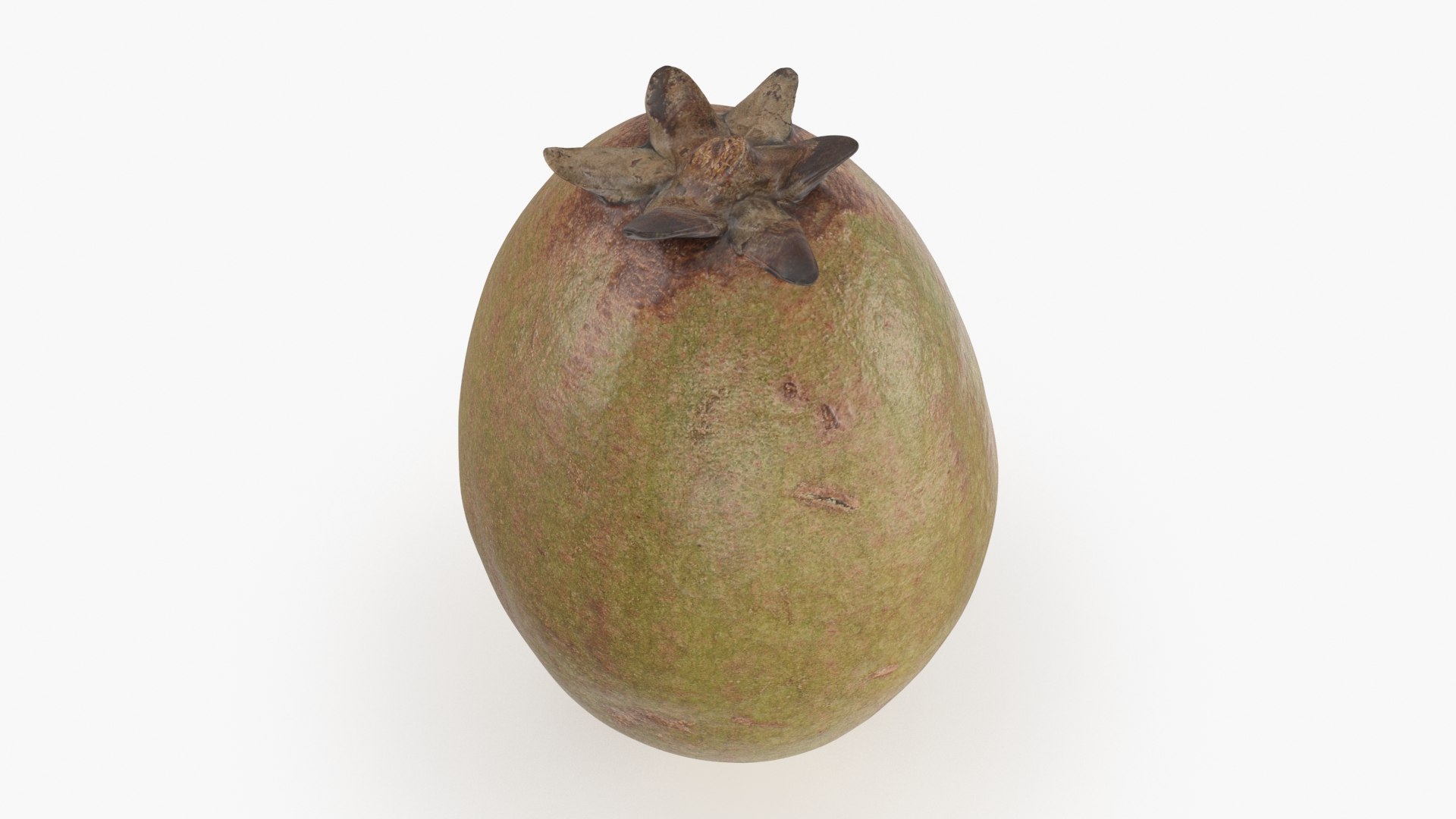 Whole Sapodilla 3D model - TurboSquid 1970123