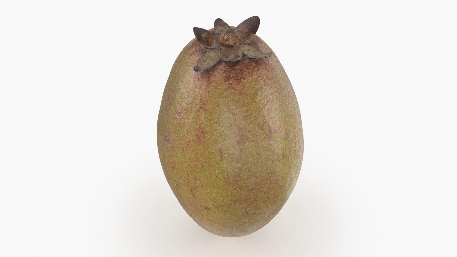 Whole Sapodilla 3D model - TurboSquid 1970123